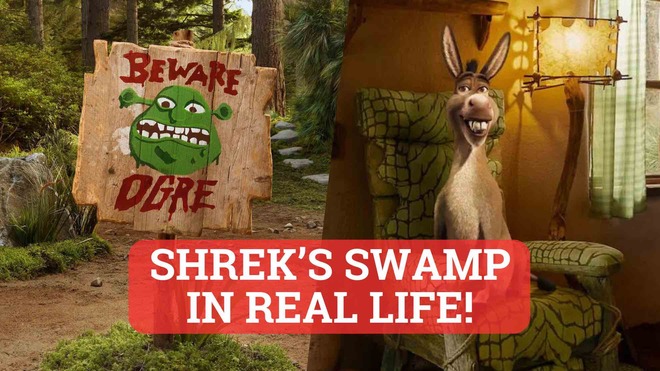 Beware: Shrek's swamp is listed on Airbnb, but there's a huge catch | Marca