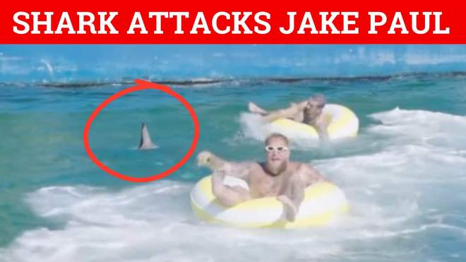 Indonesia trip takes tragic turn as women is eaten alive by shark | Marca