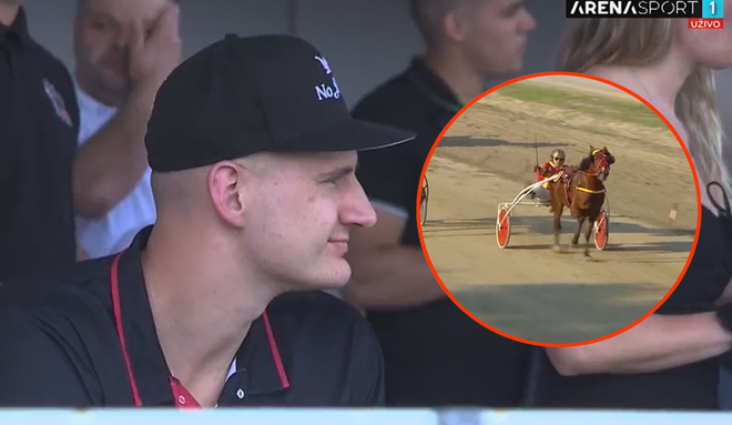 Jokic reaparece tras ganar la NBA en el palco de un hipódromo para ver ...