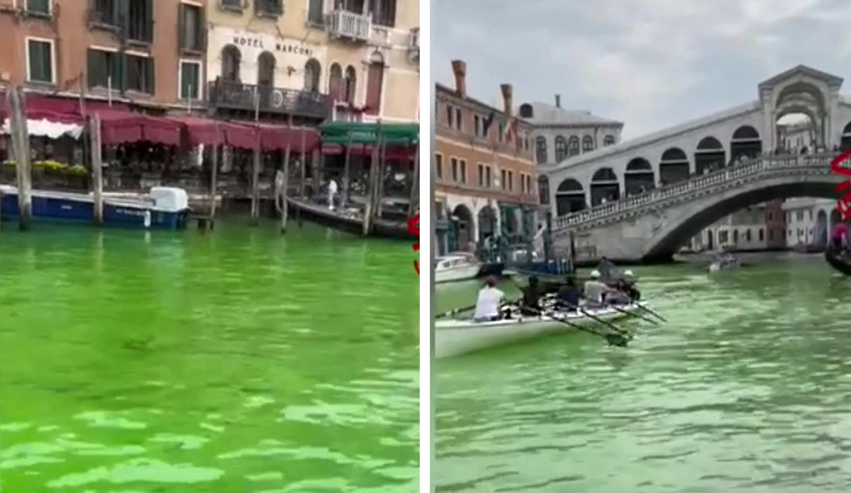 Why did Venice's canals turn fluorescent green?