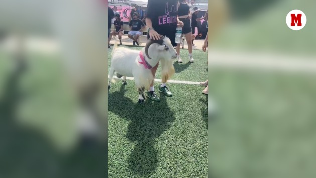 Presentación Messi: La cabra ya está en DRV PNK Stadium - MARCA MEXICO