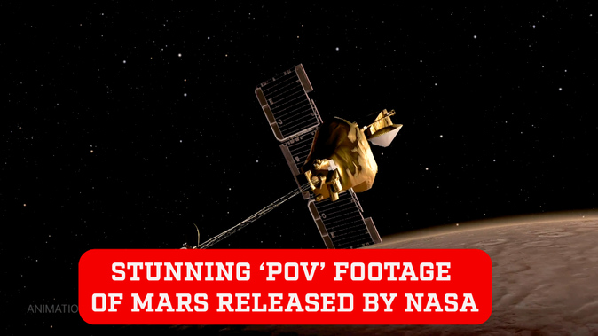 bus sized asteroid 2024