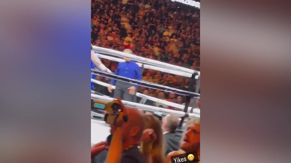 Logan Paul se acerca a su hermano Jake para buscar la paz en medio de ...