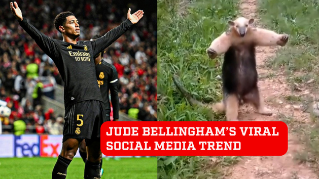 Hilarious videos from the new Jude Bellingham social media trend ...