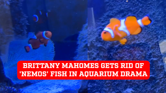 Brittany Mahomes mean reason to get rid of two adorable 'Nemo fishes ...