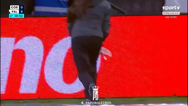 Lanzan una cabeza de cerdo a un campo de fútbol 24 años después del ...