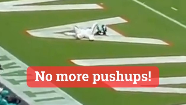 Miami Dolphins score 70 points and the poor mascot can't keep up - MARCA TV English