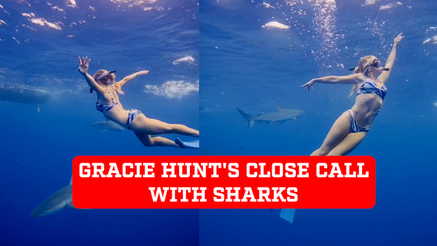 Gracie Hunt's close encounter in open ocean swim with sharks - MARCA TV ...