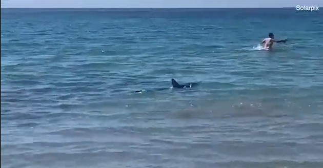 Dramatic moment shark chases woman who try to run for her life - MARCA ...